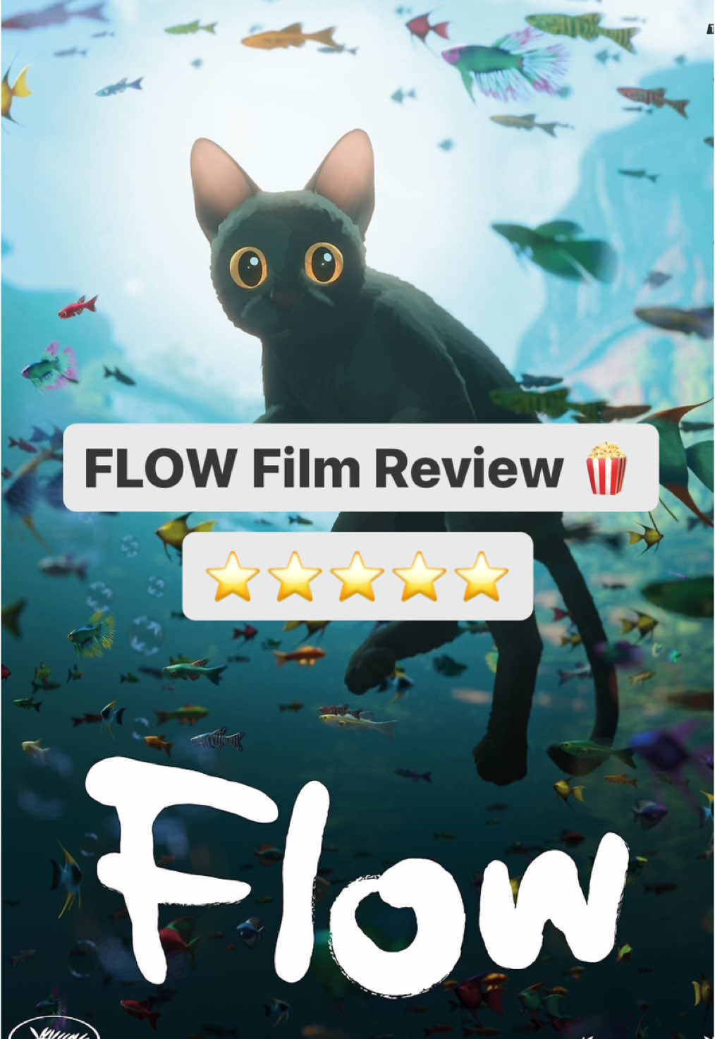 Flow Film Review #flow #filmtok | AmberAtTheMovies (@amberatthemovies)