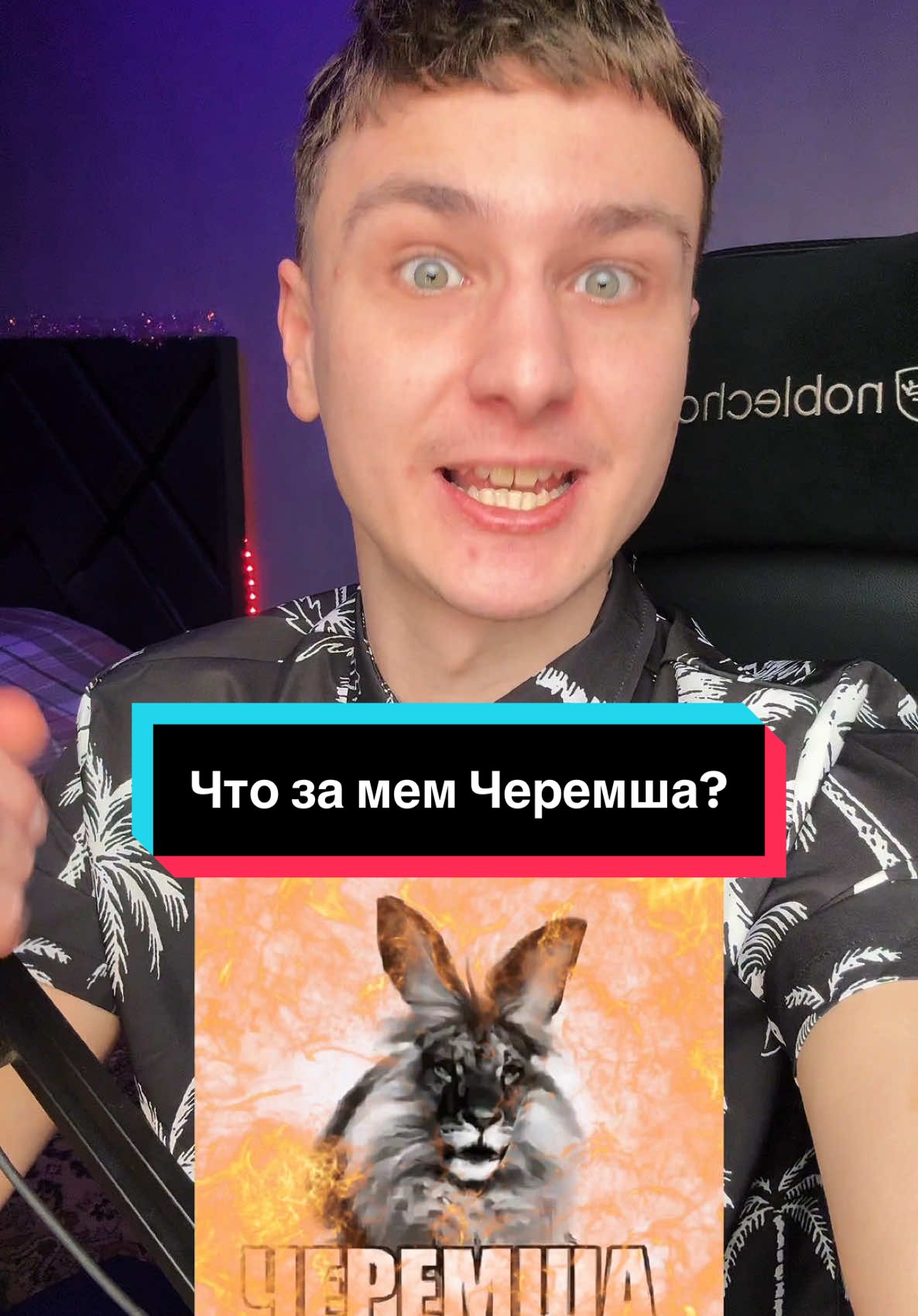 Что за мем черемша? Черемша мем откуда | Сквизи Поясняет (@squeezy_promem)