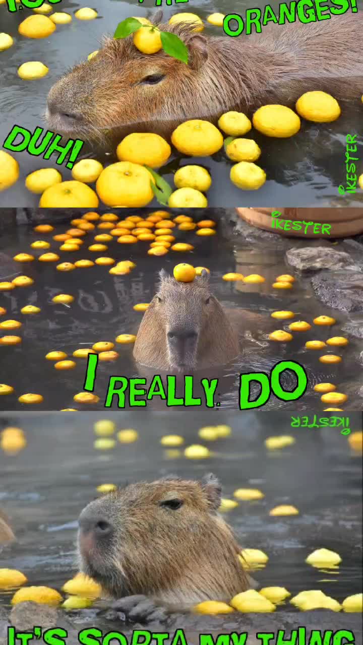 Capybara Gang (@capybaragangofficial) - Urlebird