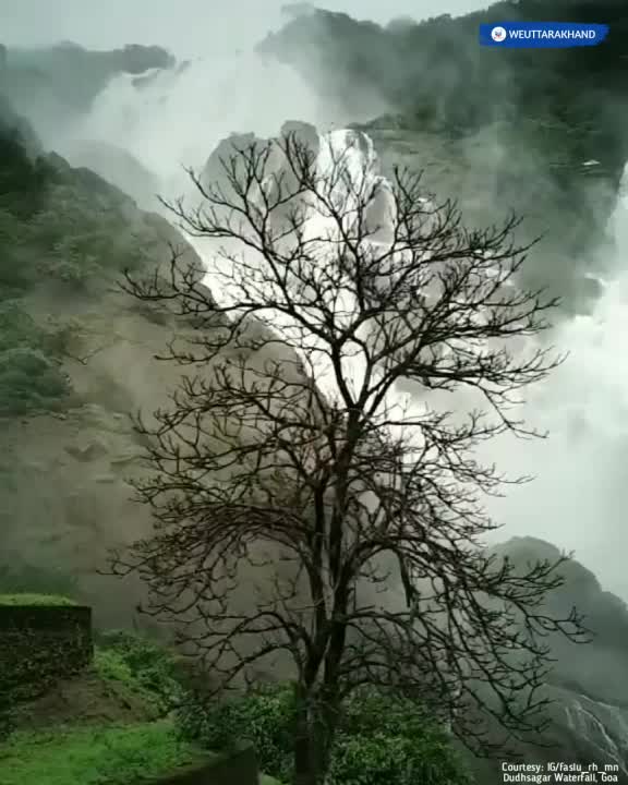 Leena reddy (@leenareddy13) - Urlebird