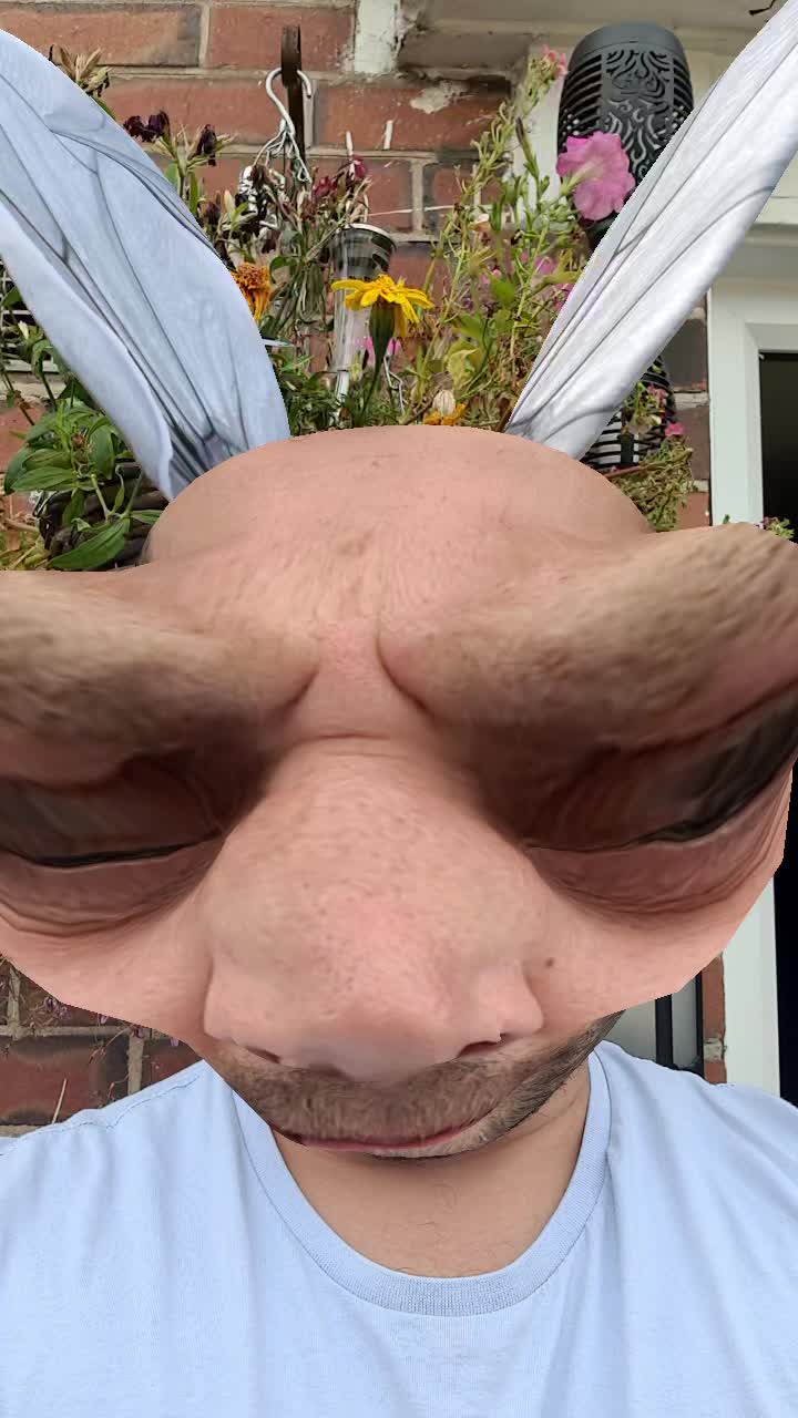 🦄 @officialseanpughie - Sean Pugh - TikTok