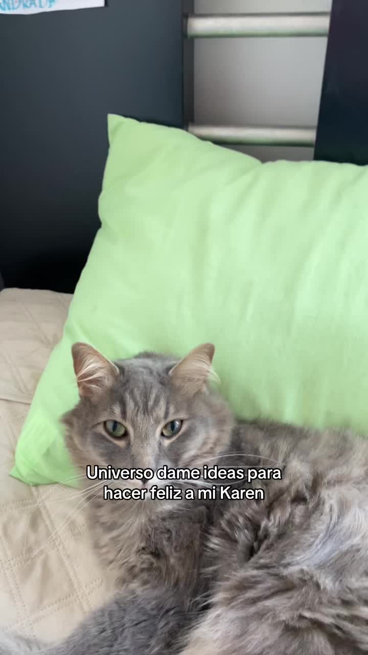 🦄 @somoscocoydulce - Somos 🐈coco 🥥 y 🍬dulce 🐈‍⬛ - TikTok