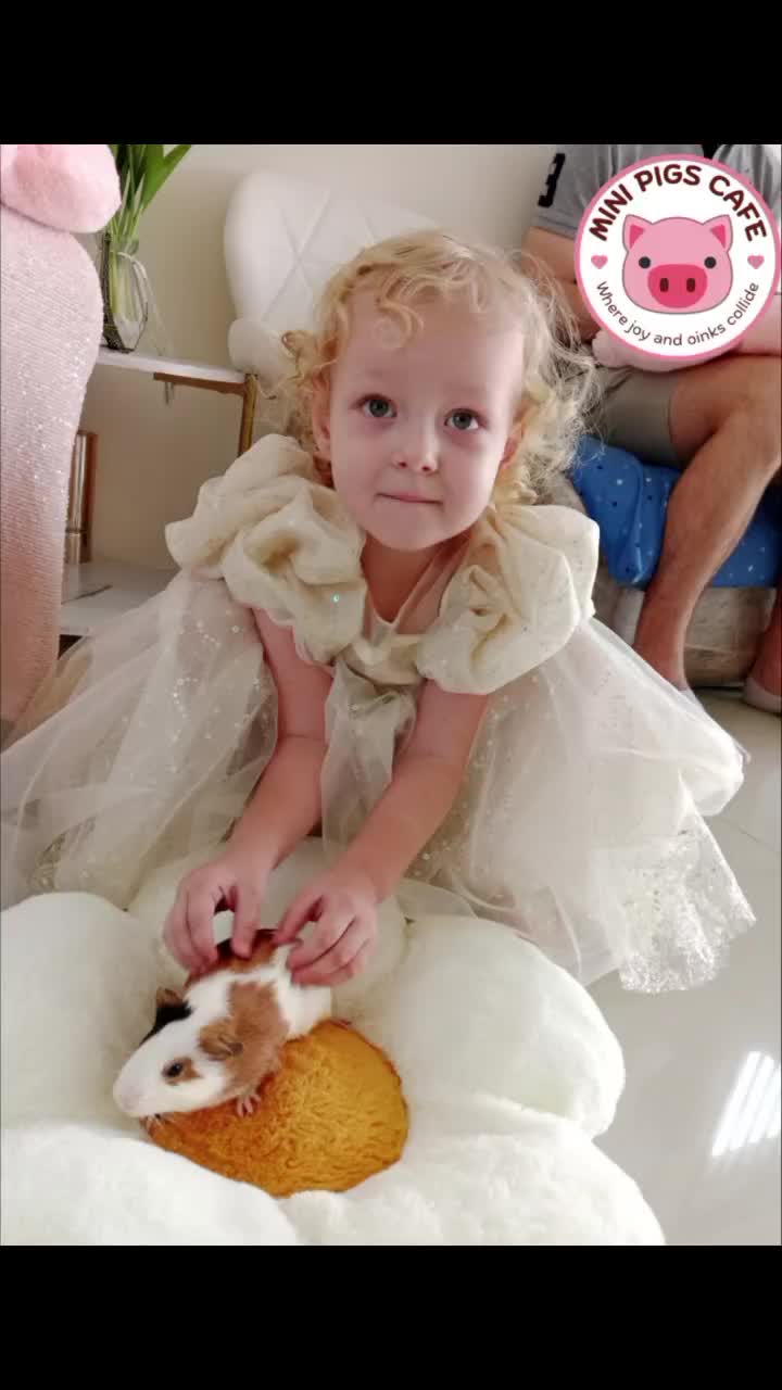 มาฮีลใจ เล่นกับน้องๆ ในวันว่างๆๆ ได้ที่ | Mini Pigs Cafe (@minipigscafe)