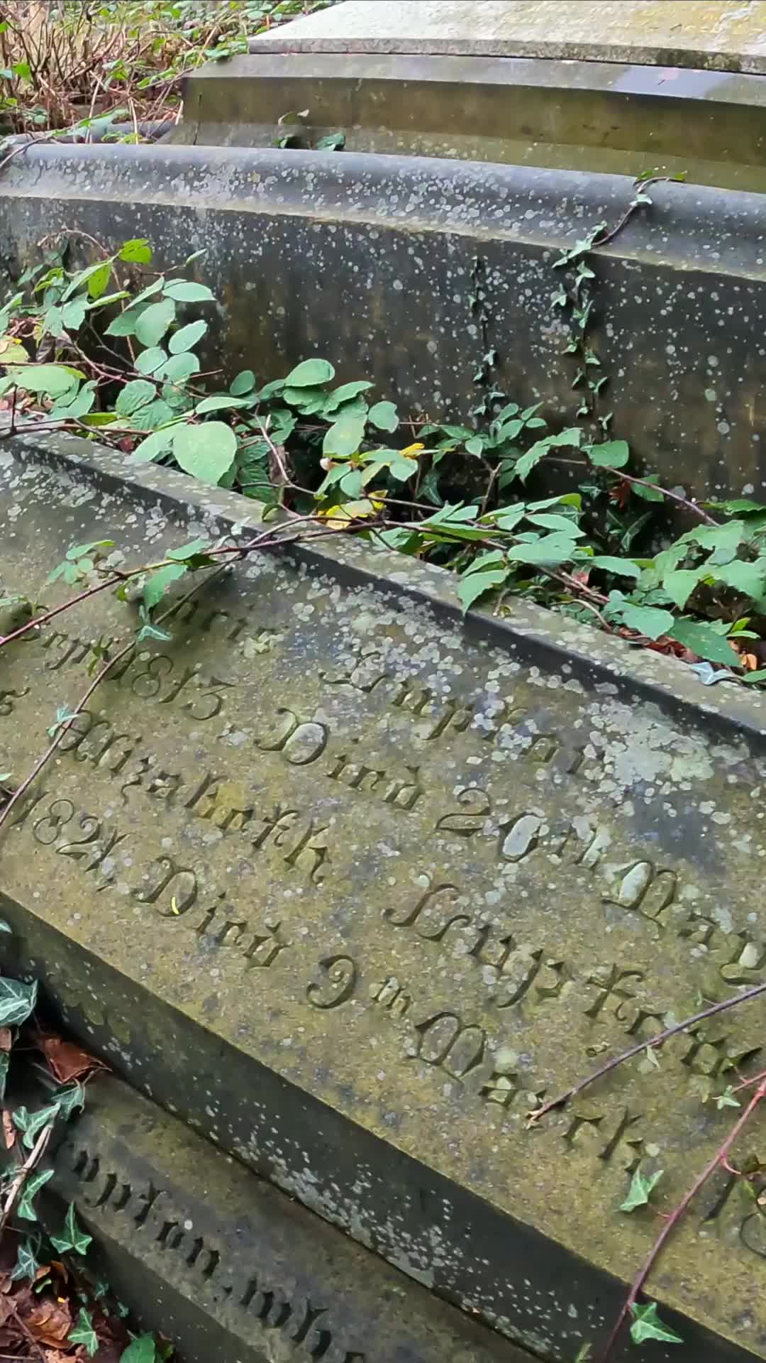 Dead Good Walks 💀 (@deadgoodwalks) - Urlebird