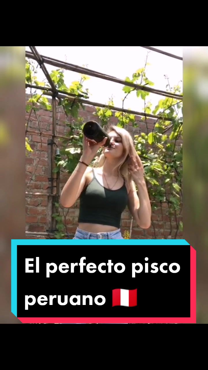 🦄 @alek_rusa_peru - AlekRusaPerú🇷🇺 - TikTok