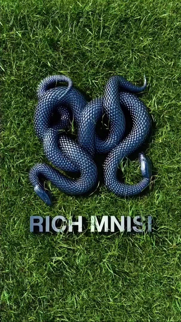 RICH MNISI announces a new logo, the | Fashion MOEments ...