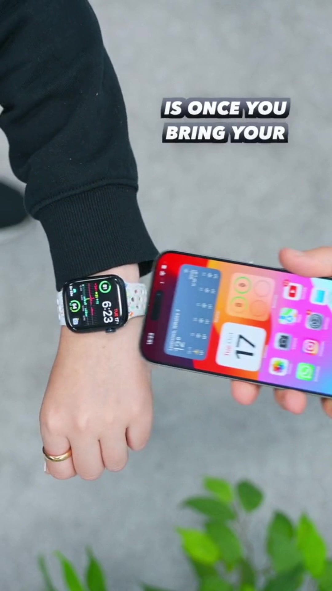 Did you Guys know that Name Drop now | Hayls World (@haylsworld2)