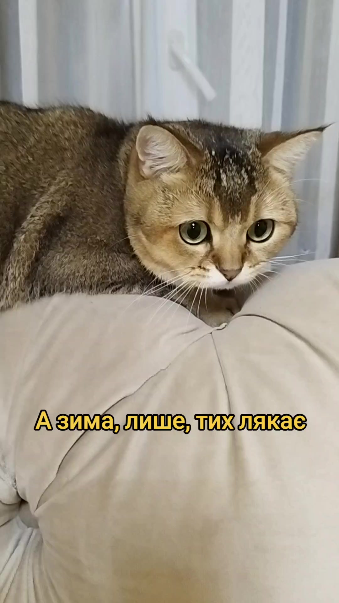 Yo ya estuve una vez embarazada | María Escribano (@maria.escribanoo)