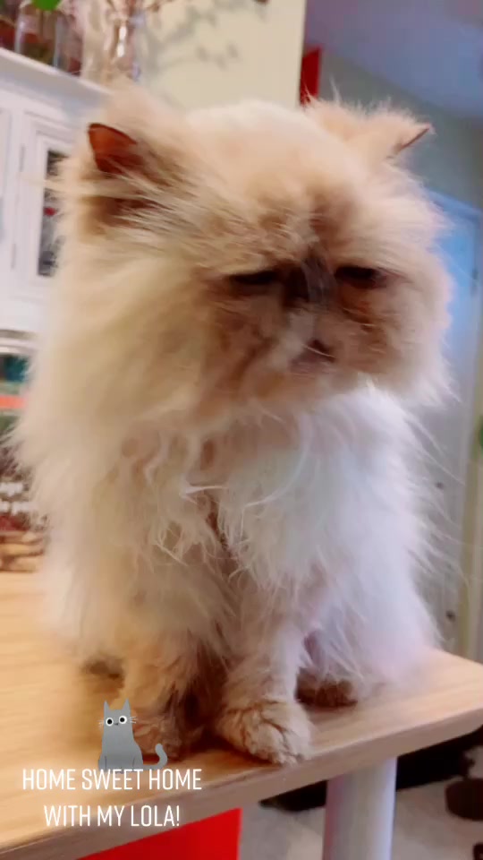 🦄 @barbararahal - Barbara Rahal - TikTok