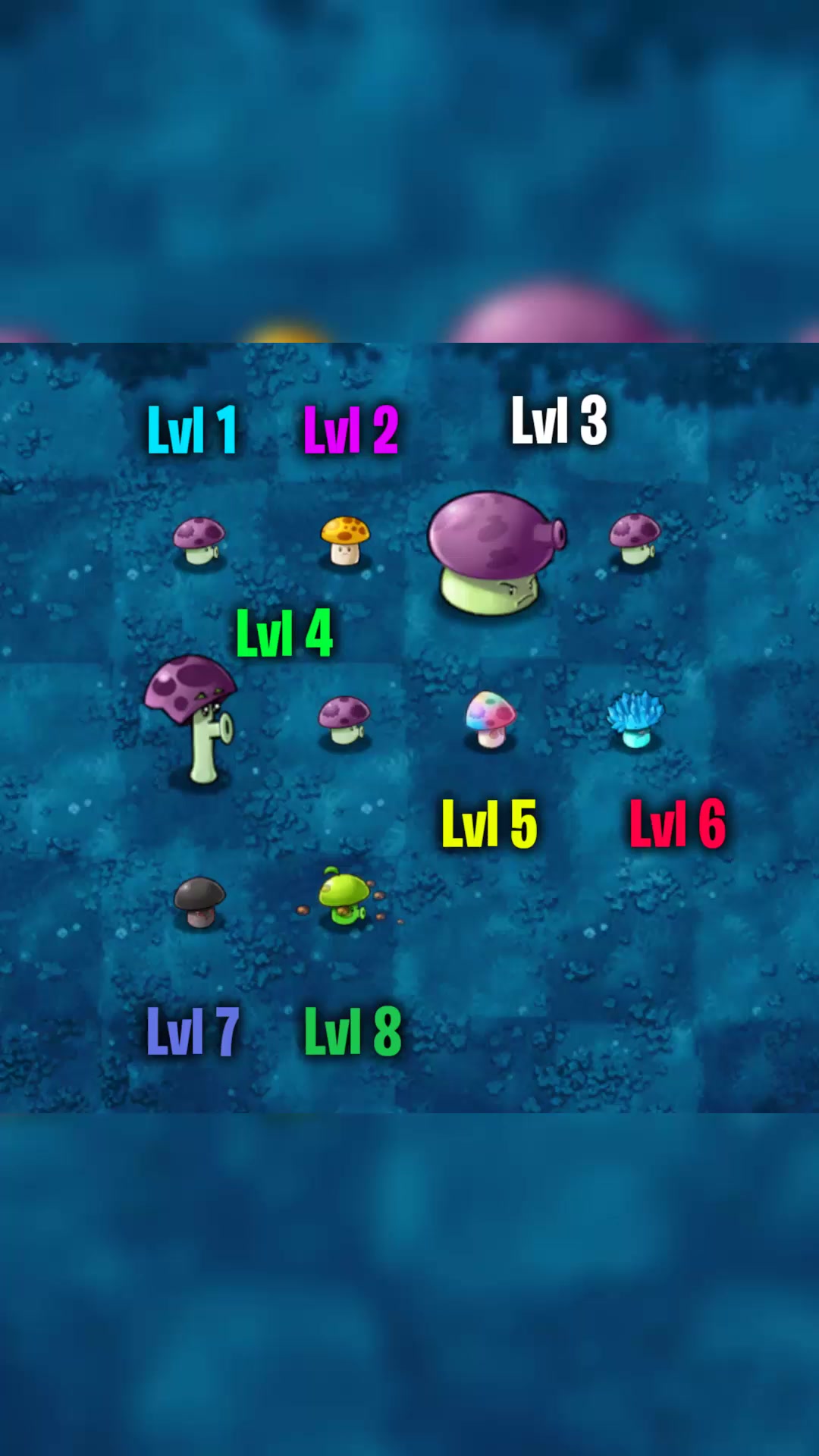 Squanch CommunitY (@squanchcommunity) - Urlebird