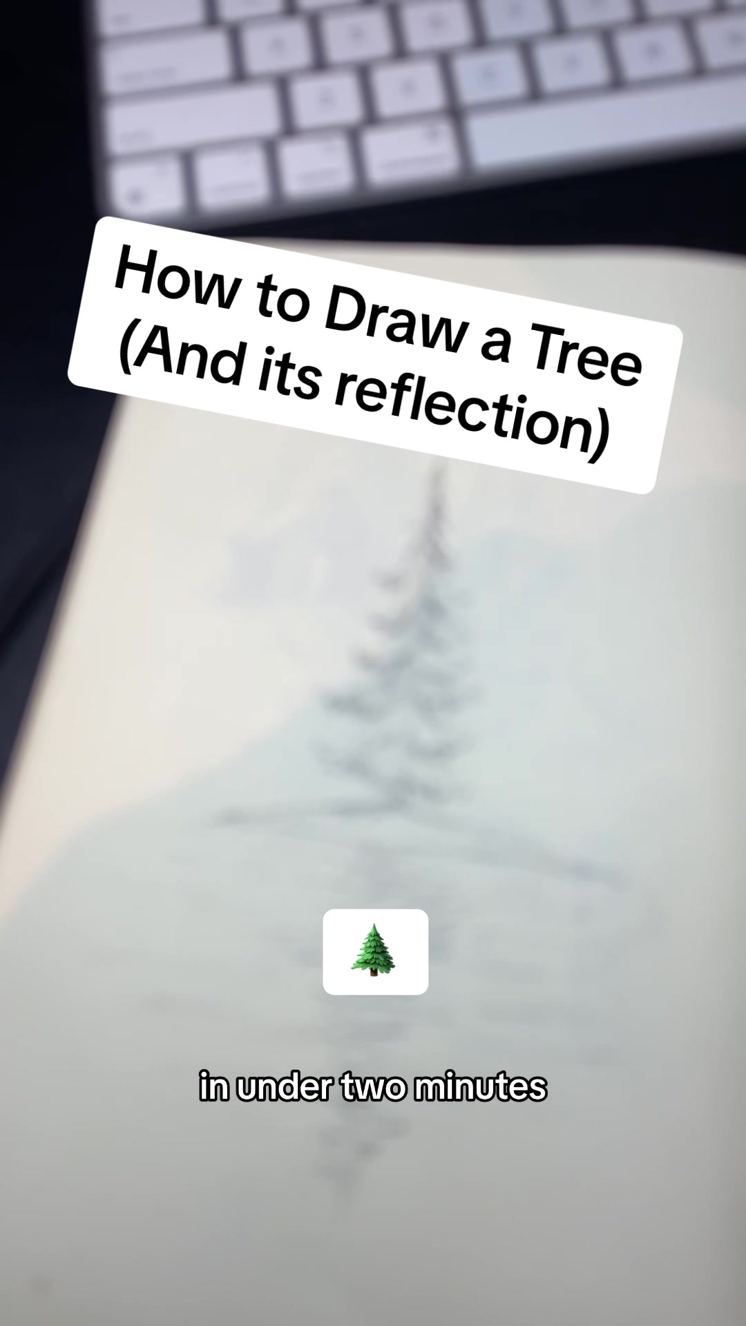 How to draw an evergreen tree and its | Sam Gillett Illustrations ...