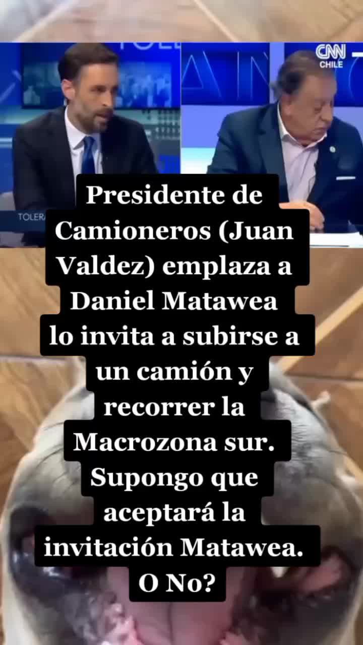 Merluzo inepto (@merluzo.inepto) - Urlebird