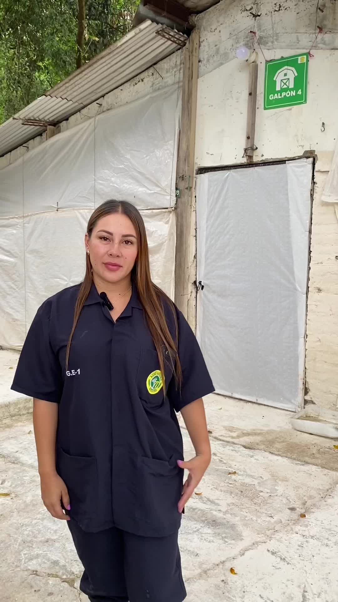 Conoce el portafolio de Agroavicola | Agroavicola andina ...