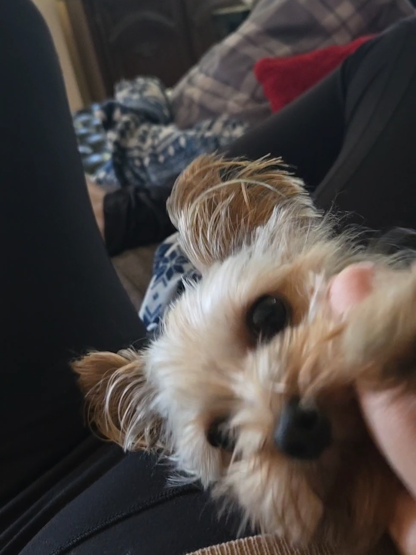 Missy mama 🇨🇦 (@missymama4) - Urlebird