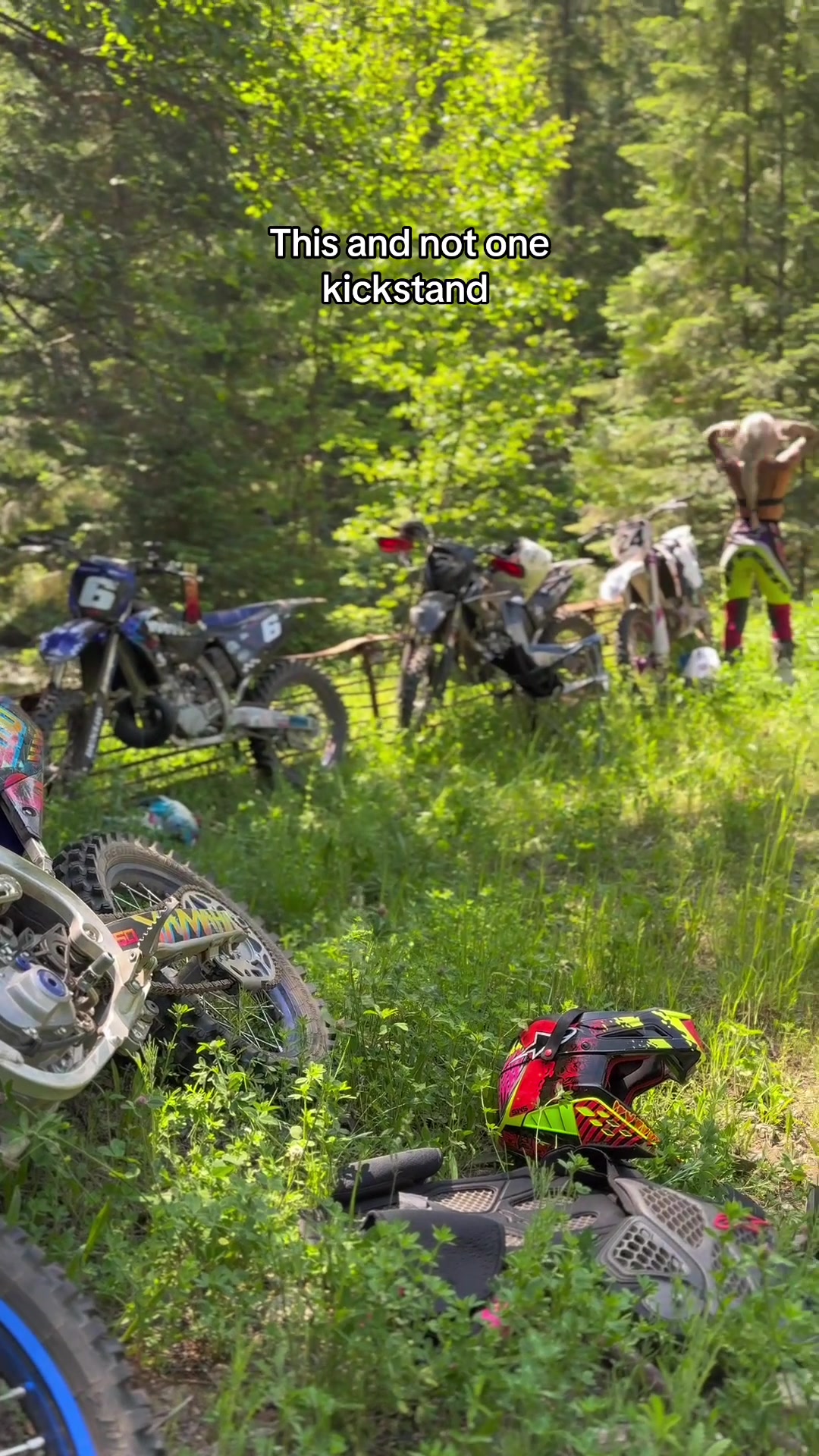 Yana Roney (@powderfluffgurl) - Urlebird