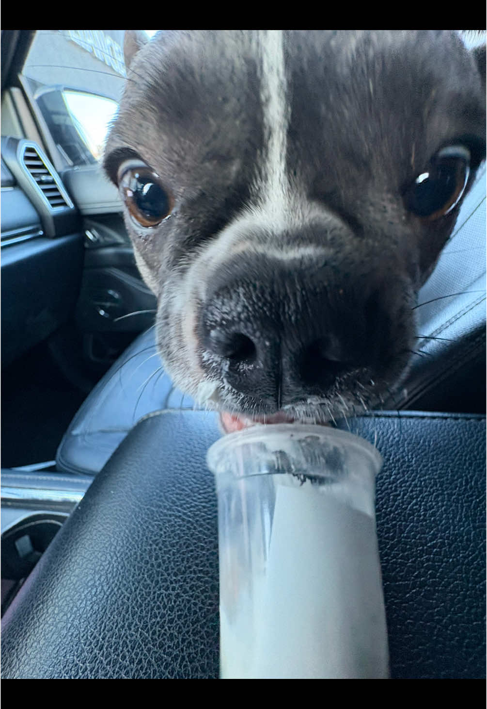 livy_.mae (@livy_.mae) - Urlebird