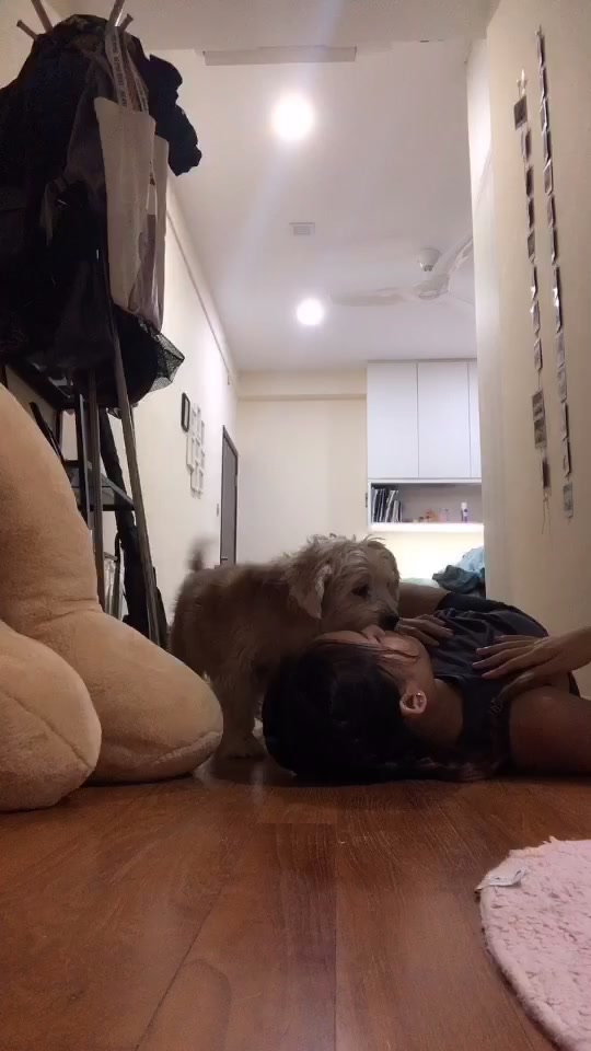 faked a heart attack to see how pluto | vanku 🍀 (@vankuverrr)