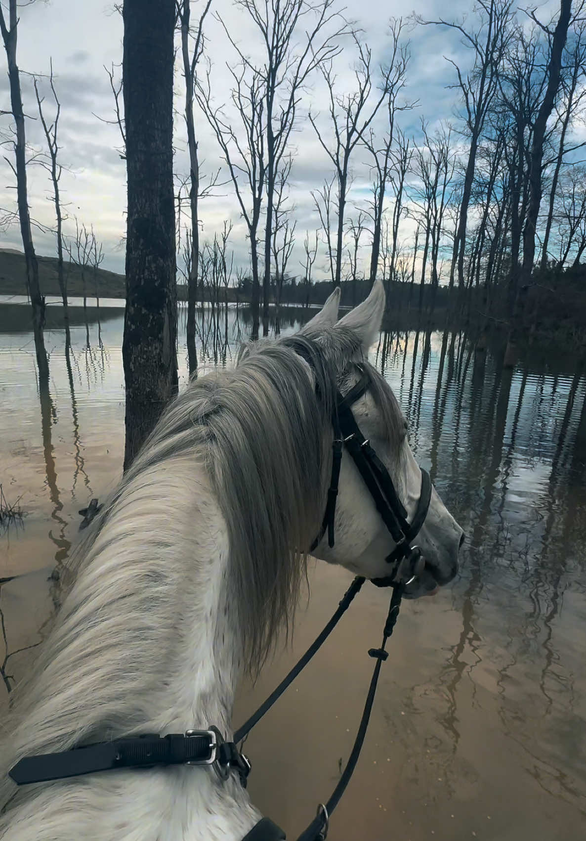 🦄 @quentin.emery - Quentin Emery - TikTok