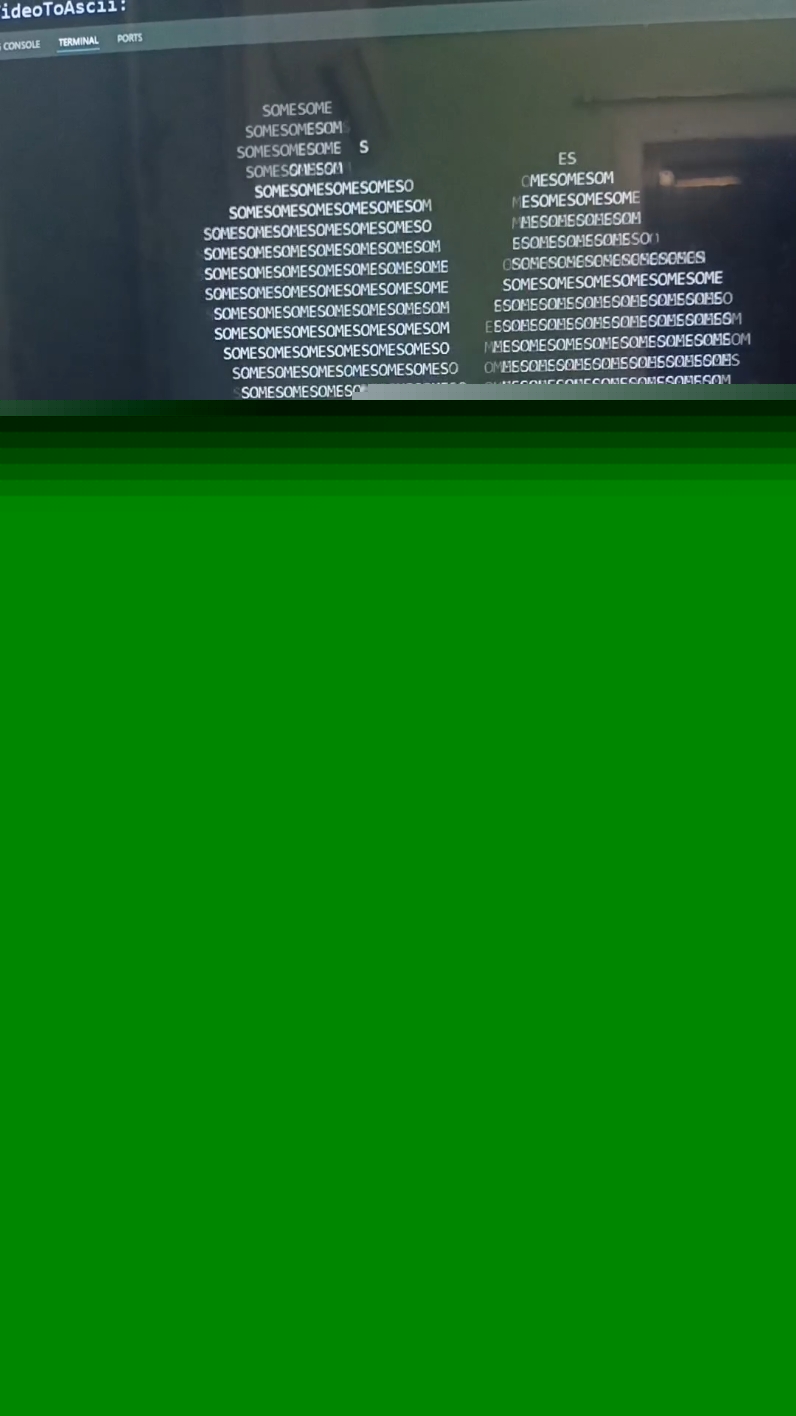 Some In Terminal #programming #coding | Kuriko-san (@kurikosancode)