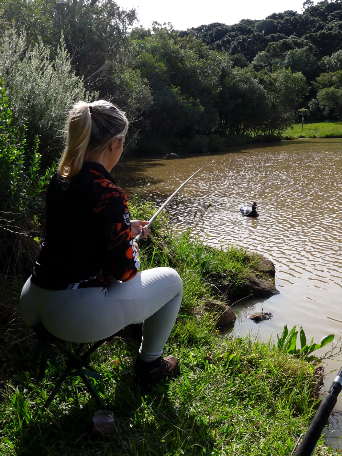 Brazilian Adventure (@brazilianadventure) - Urlebird