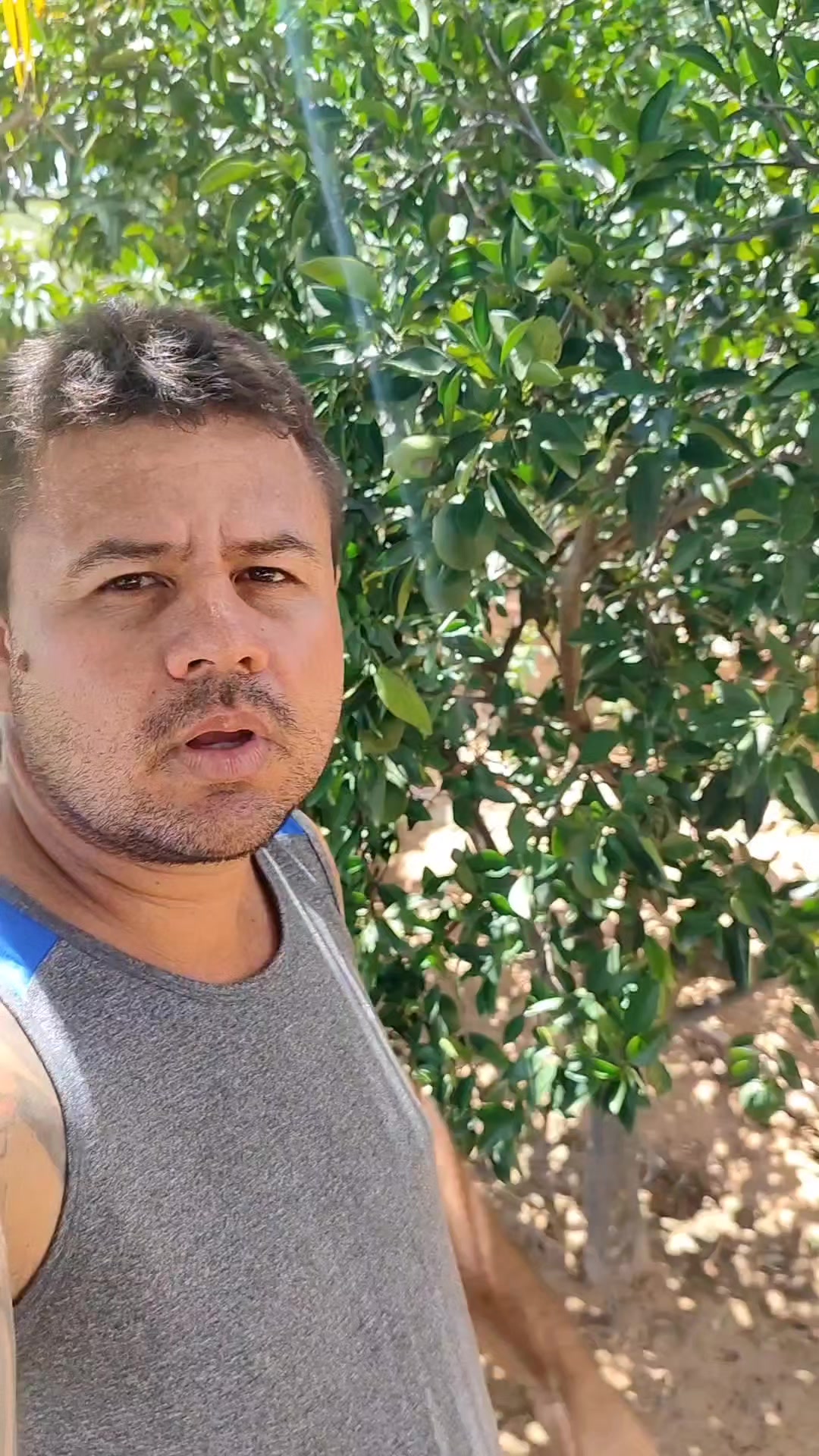 Ray da resenha oficial (@raydaresenhaoficial) - Urlebird