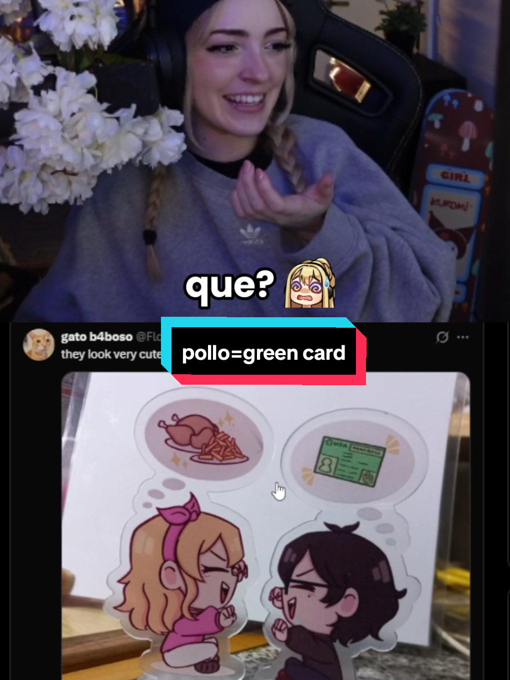 pollo a la brasa=green card #sylvee | SiLverL (@silverele_)