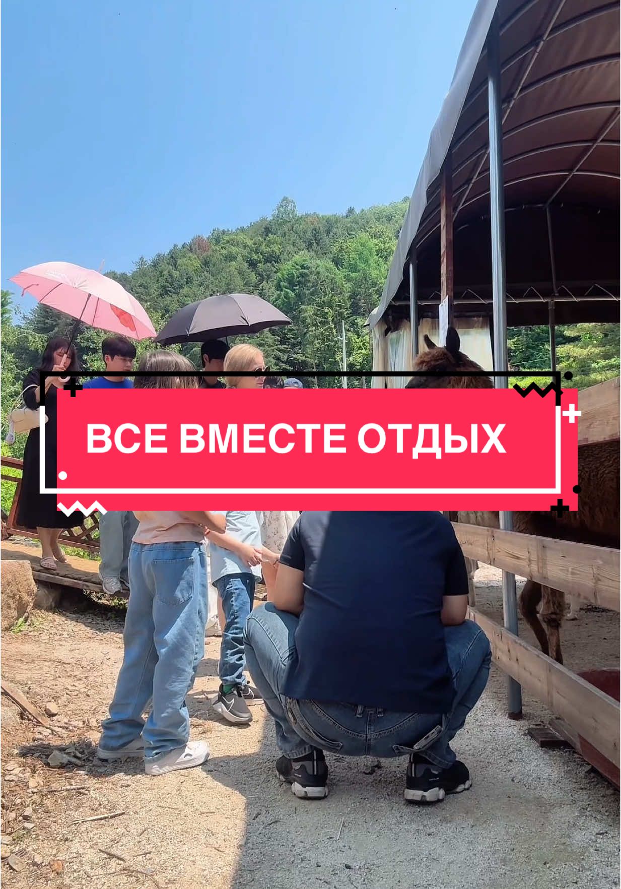 Instagram ️ ️ | Ольга (@olgaorlova112)