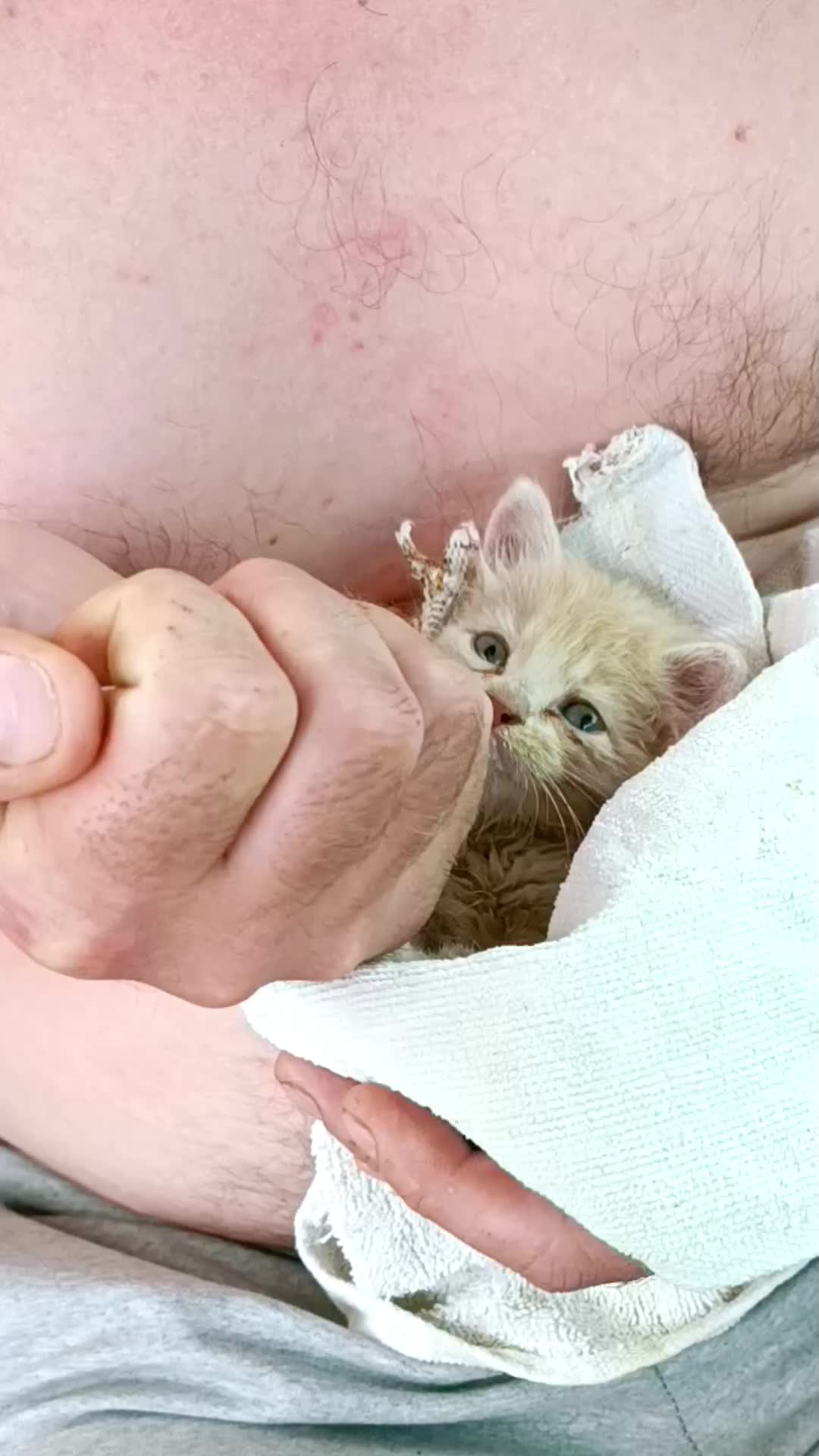 asya_little (@asya_little) - Urlebird