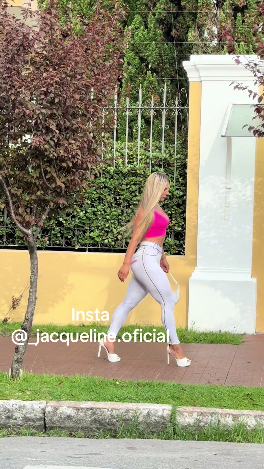 Jake Barbie Oficial (@jake_oficial_real) - Urlebird