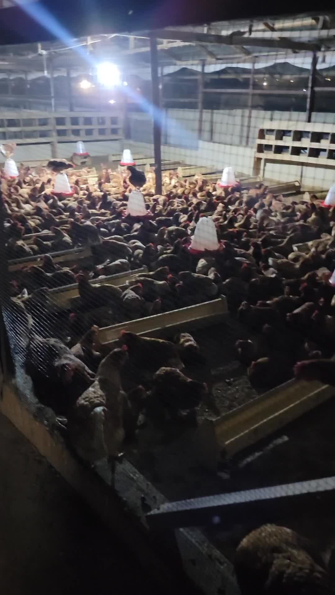 Derch Farms (@derch_farms) - Urlebird
