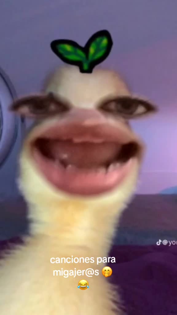 Miss Ary (@miss_ary24) - Urlebird