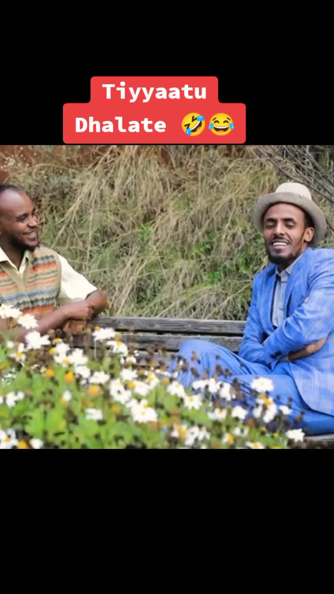 Hirko_Drama (@diraamaa_hirkoo) - Urlebird