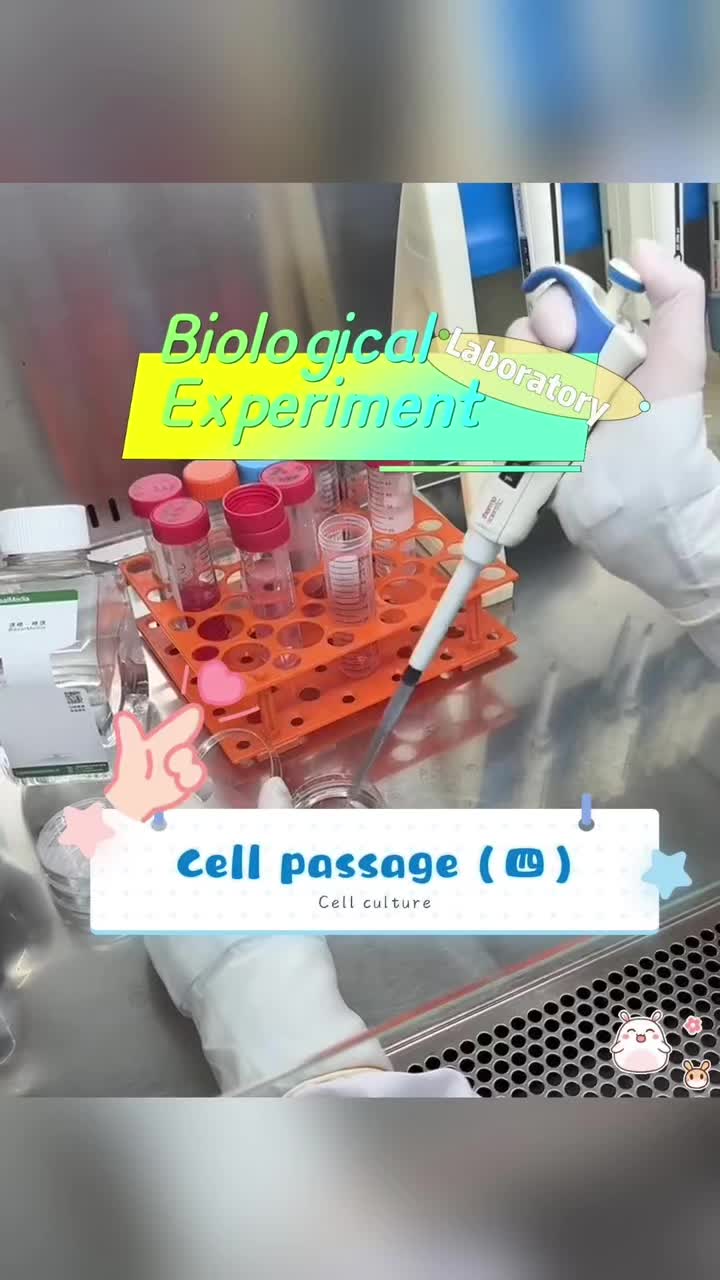 Biological experiment-cell passage (4) | Lab supplies (@kabadofk39i)