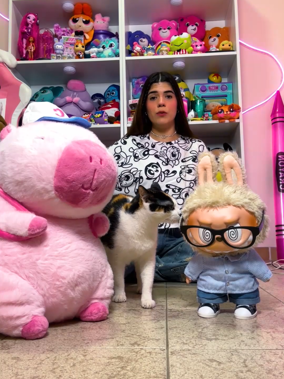 Ani Cat (@soyanicat) - Urlebird