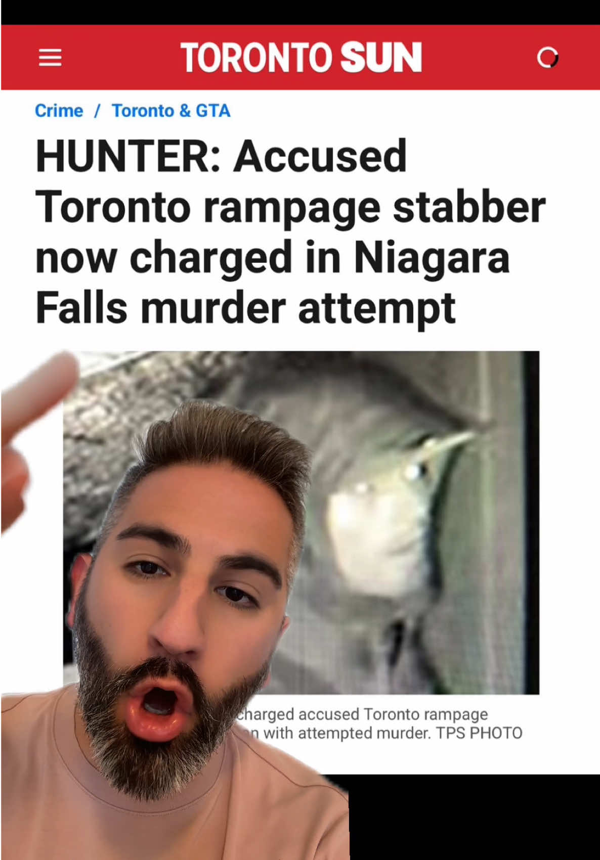 IMAGINE WHEN FINALLY #frankiefoster | CARTOONSAUR (@cartoonsaur)