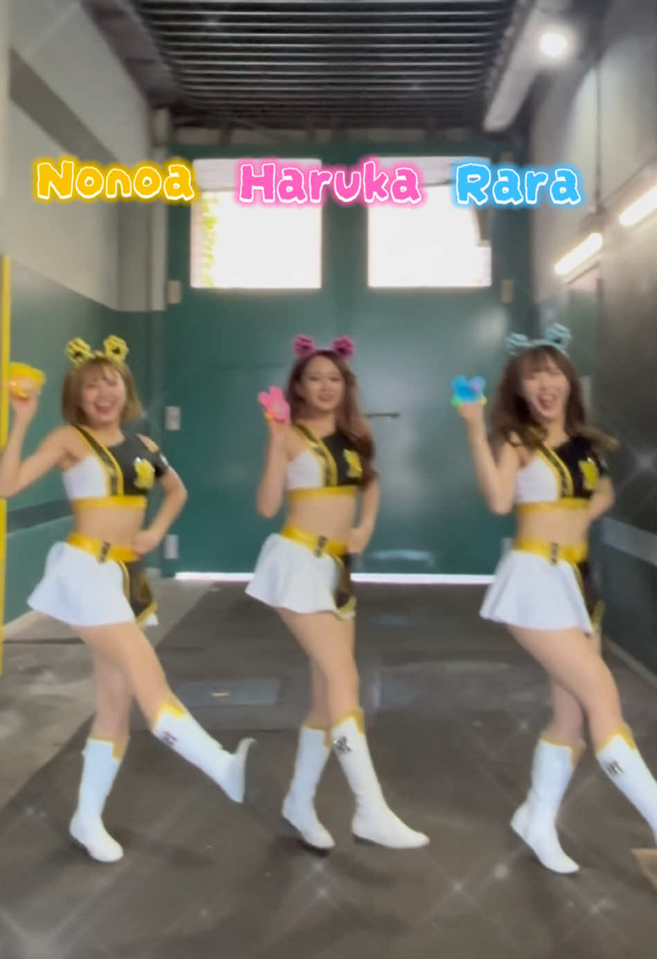 🦄 @tigersgirls_official - tigersgirls_official - TikTok