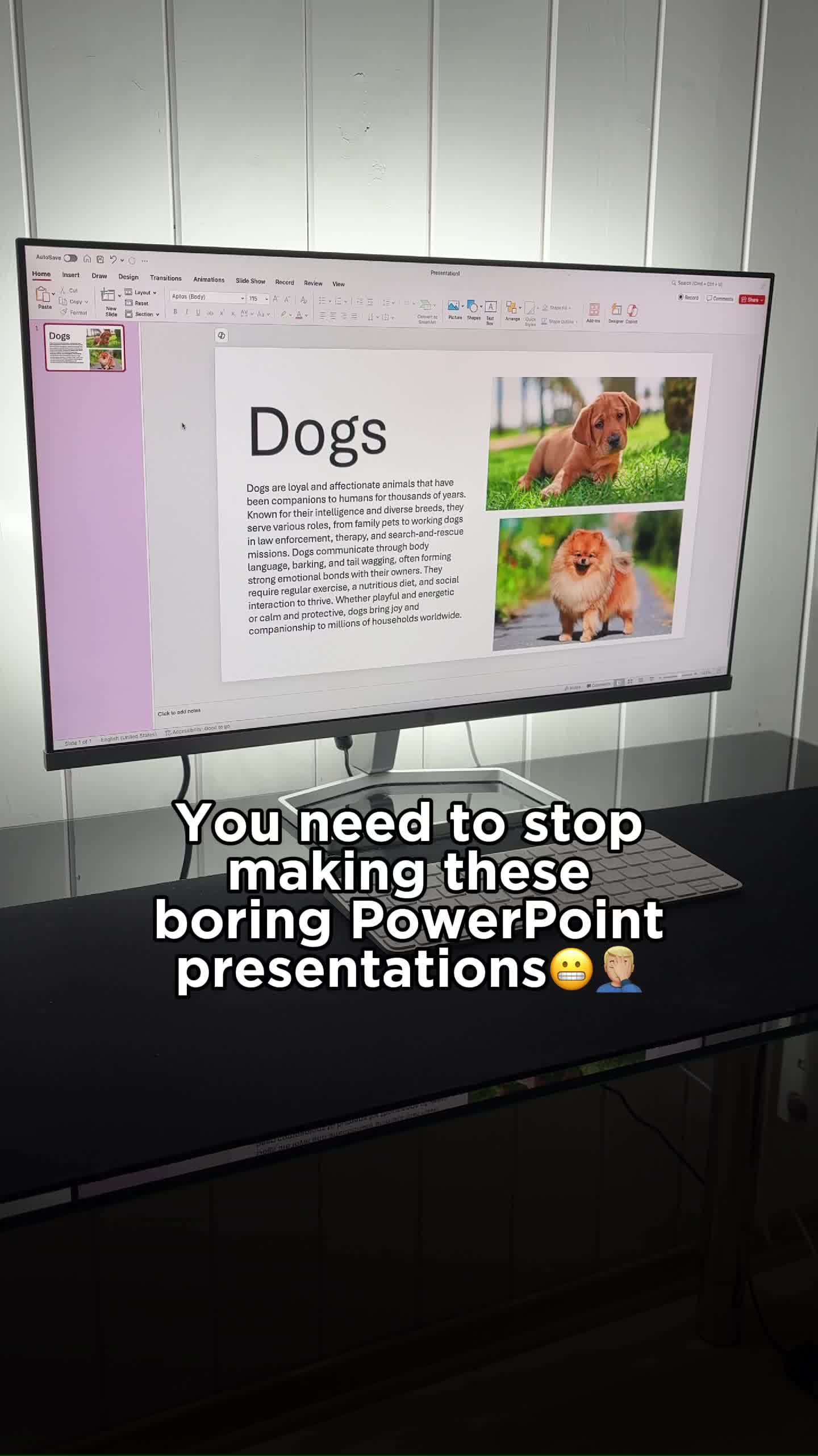 The Powerpoint Guy (@jacobppt) - Urlebird