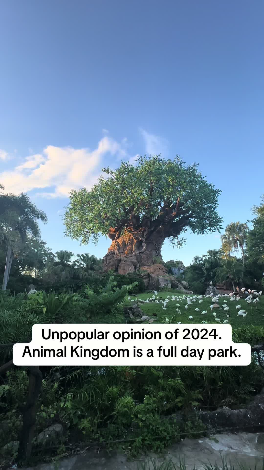 Do not skip Animal Kingdom! We love | Anna Fleischmann (@annaknowsdisney)