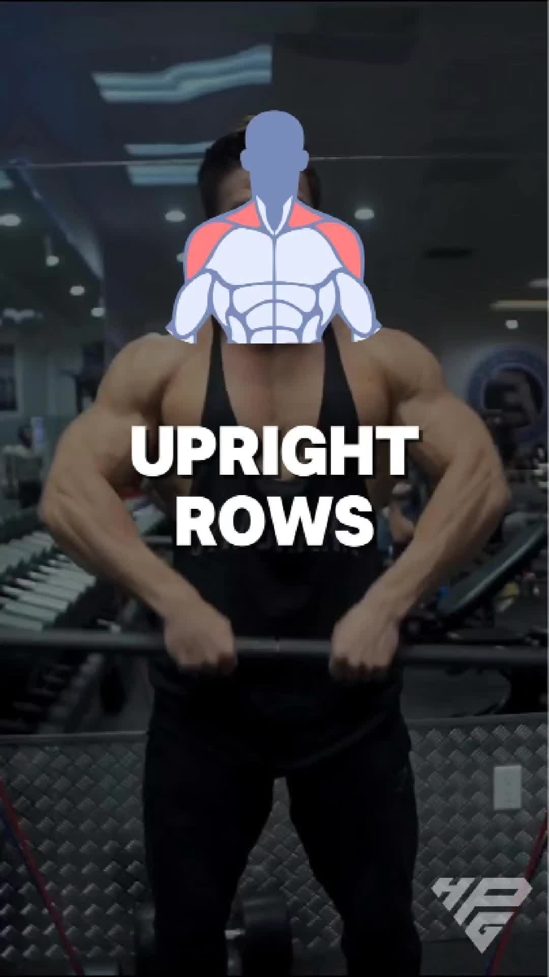 HOME PRO GYM (@homeprogym) - Urlebird