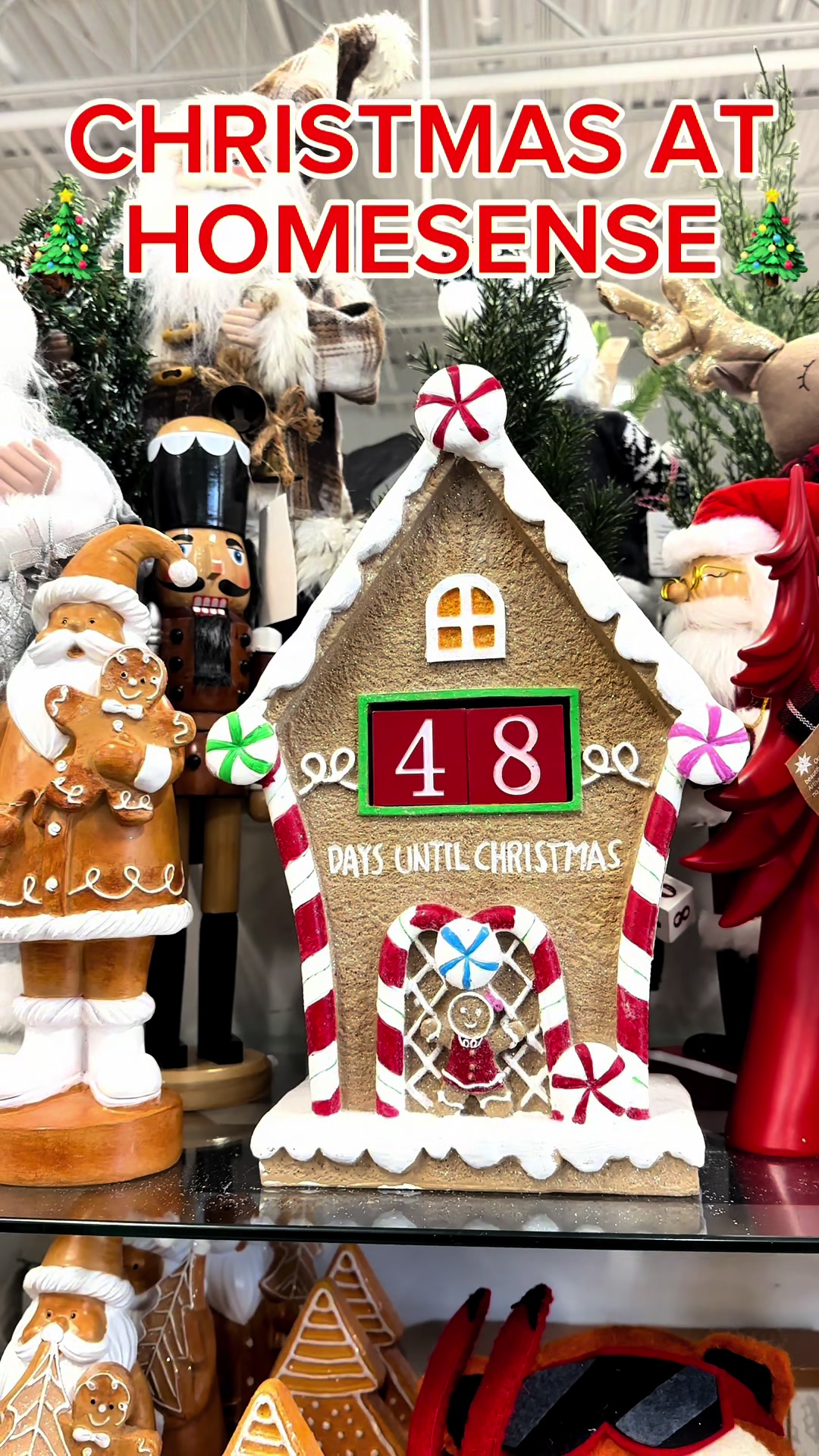 Homesense always wins! 🎄🎅🏾 | Dianne | Food & Vlogs 🩷 (@lifewithd__)
