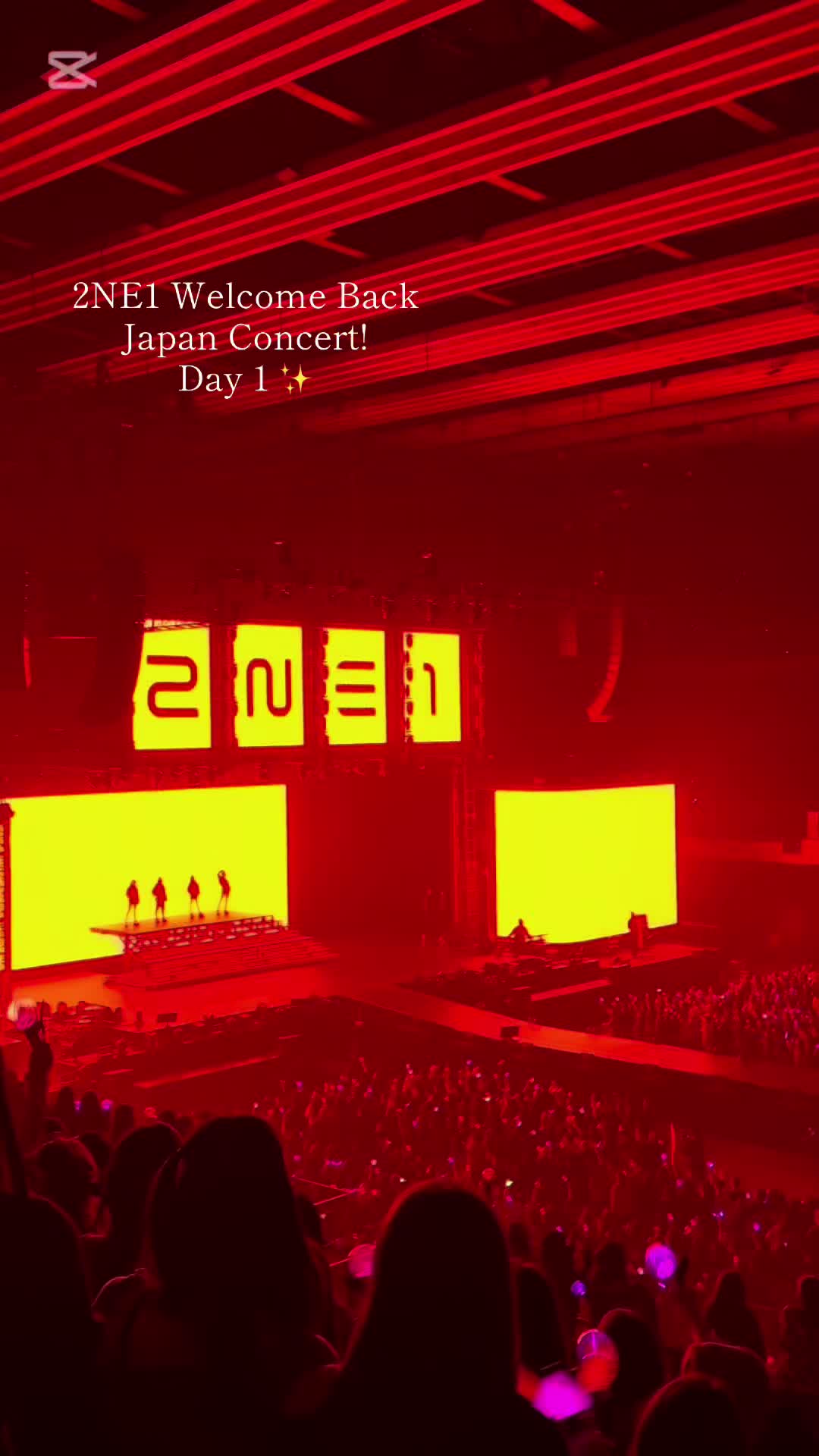 2NE1 Welcome Back Japan Concert Day 1 | 雲英 (@yunying21)