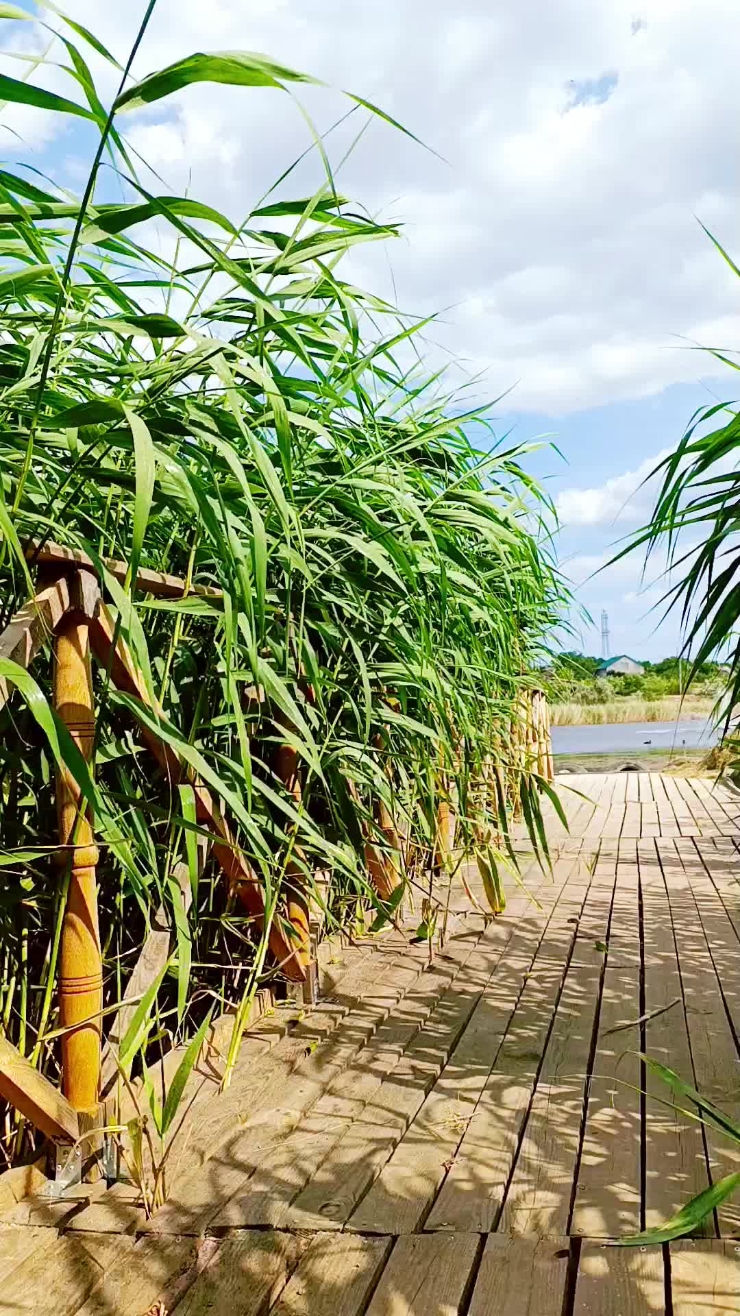 asya_little (@asya_little) - Urlebird