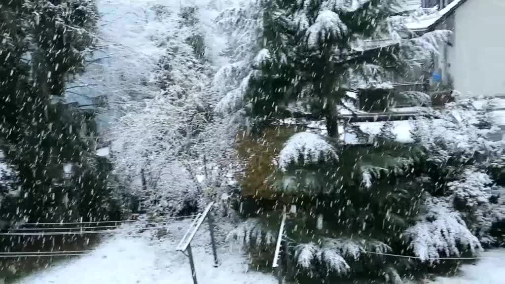 Dati pangarap ko lng makakita ng | RishChard (@rishkluin)