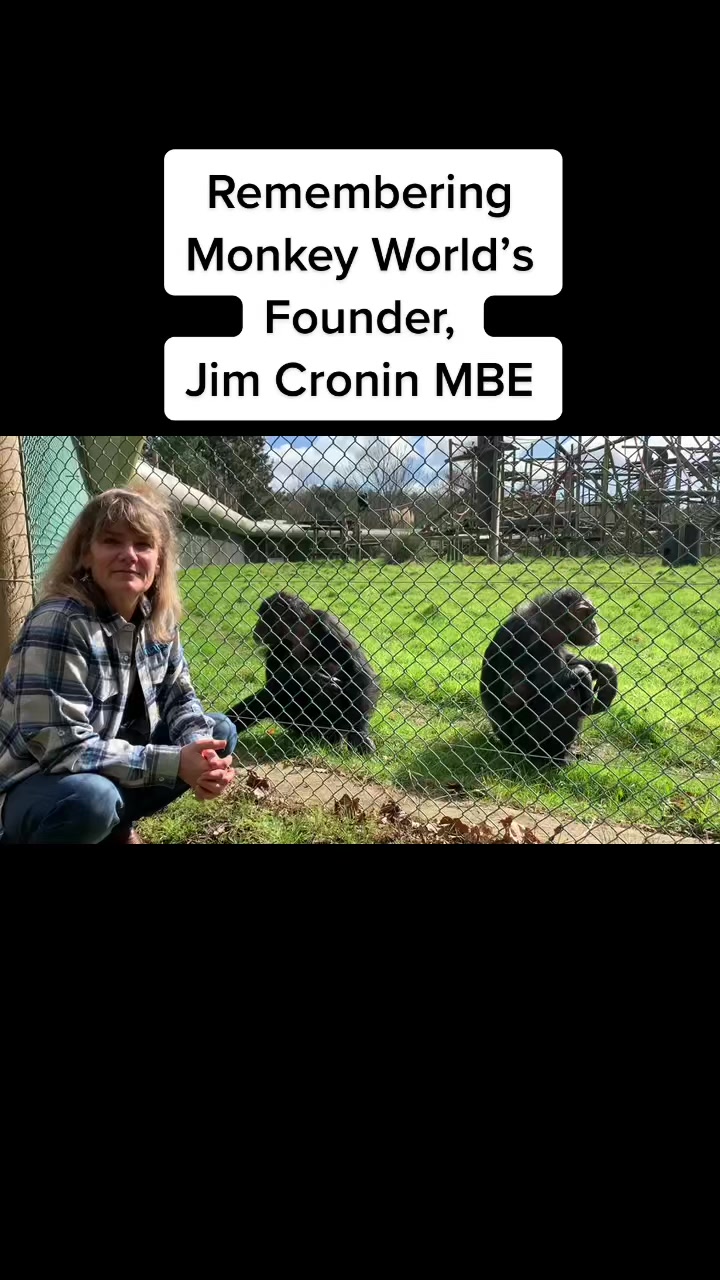 Remembering Monkey World’s founder, Jim | Monkey World Ape Rescue ...