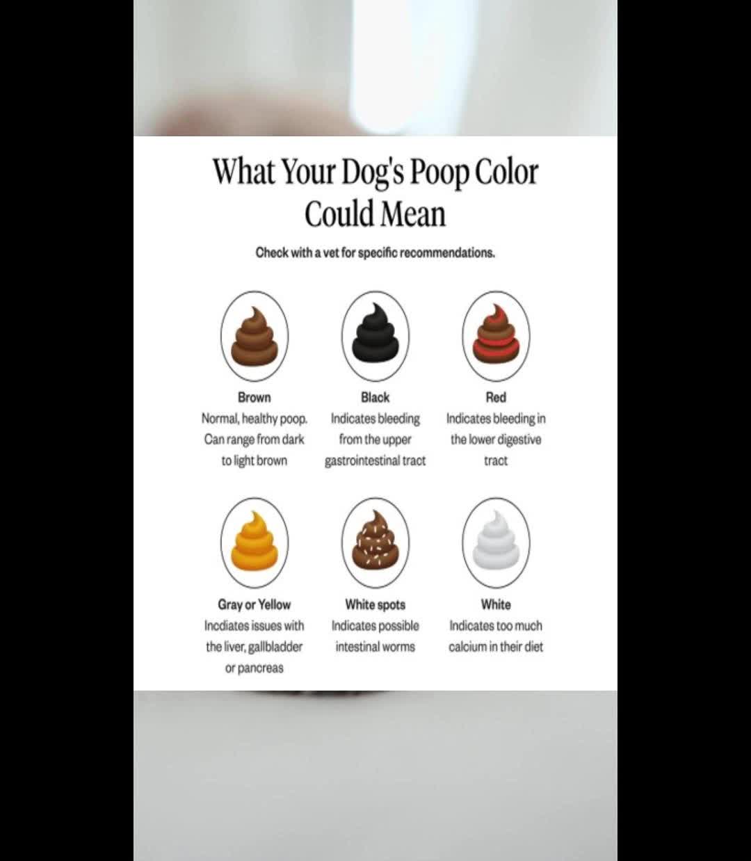 Dog poo color can tell you a lot about | The Anointed One (@pets_ideas)