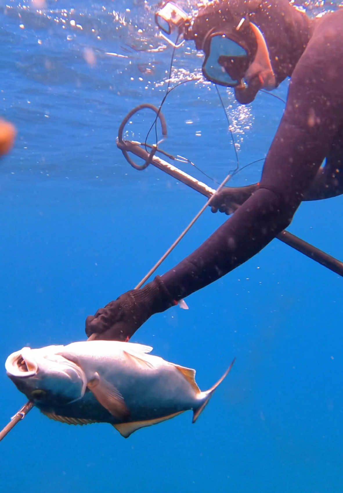 🦄 @sarahrosefoster - Sarah Rose Foster - TikTok