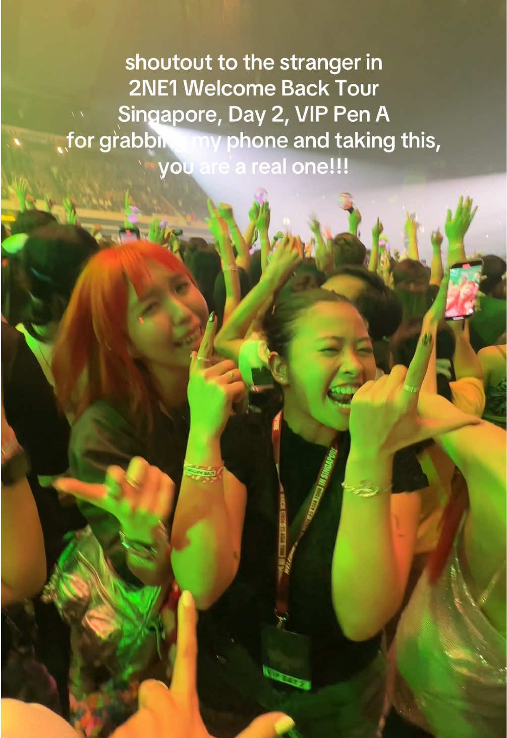 best mosh pit crowd (& entiquette) | Sarah Swee (@sweesroll)