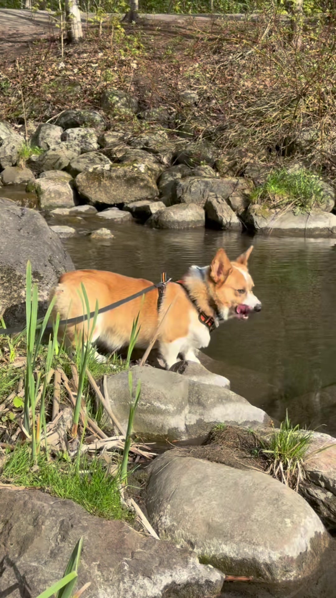 You don’t just store a potion like | Miss Pravala (@officialmisspravala)