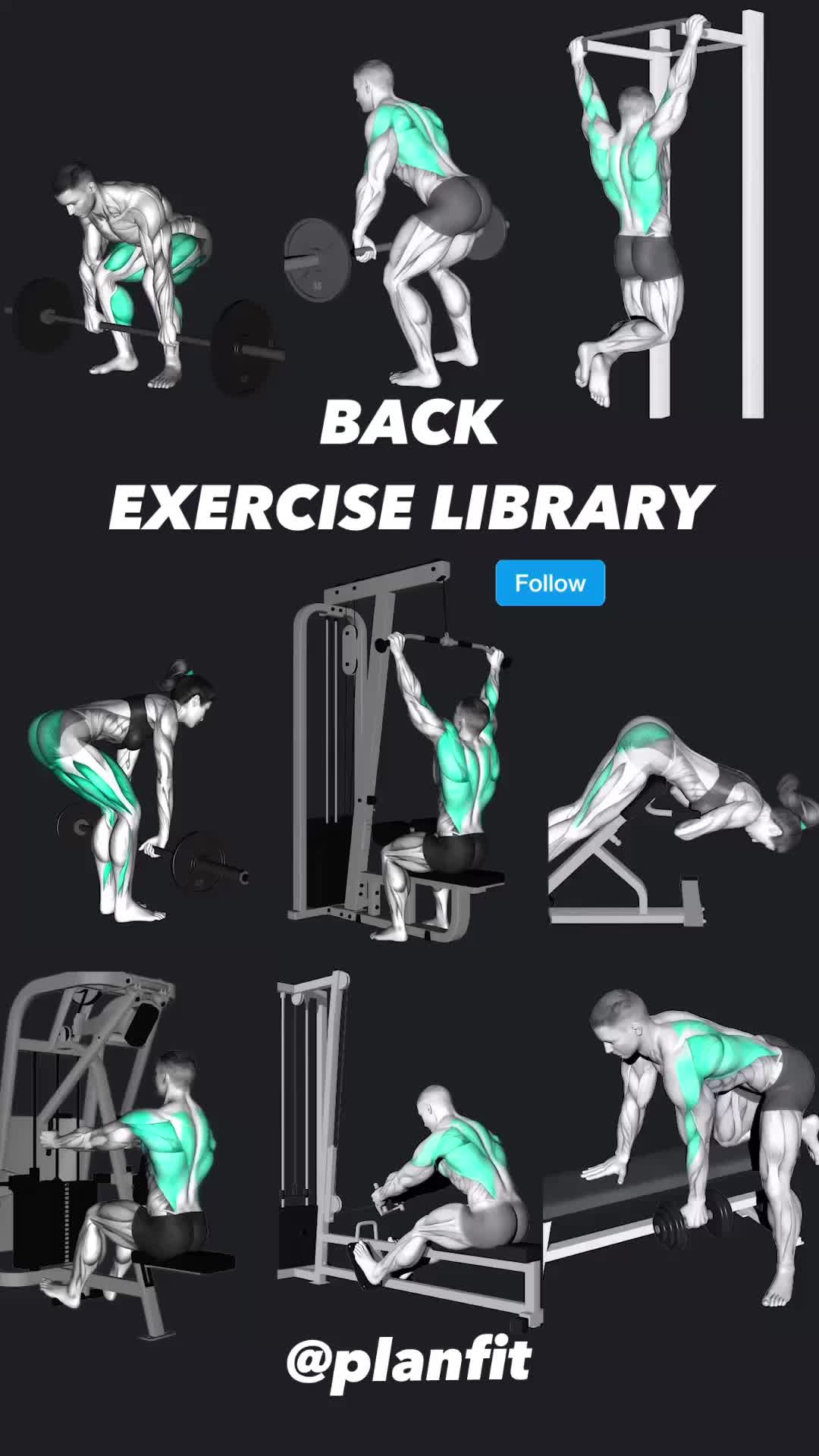 9 Must-Do Back Exercises for Strength | Planfit (@planfit.ai)