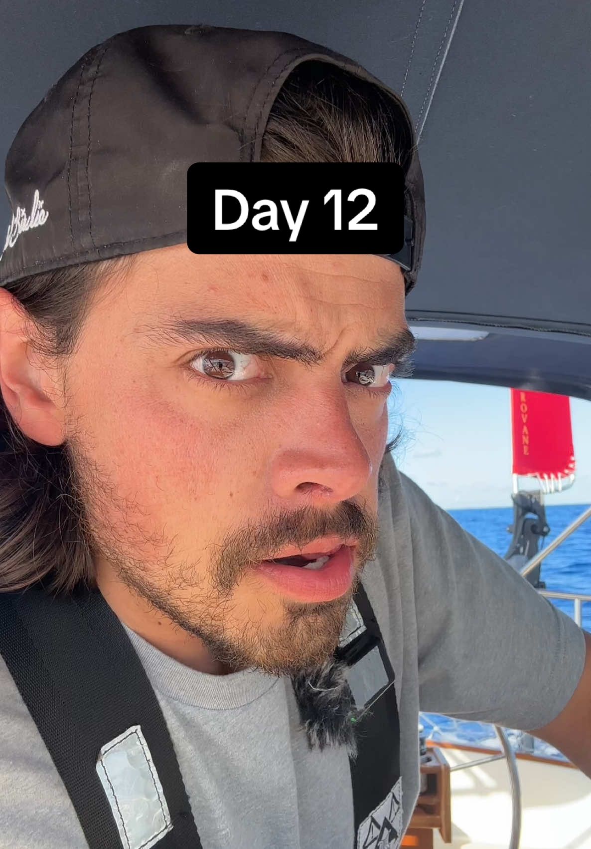 sailing_with_phoenix (@sailing_with_phoenix) - Urlebird